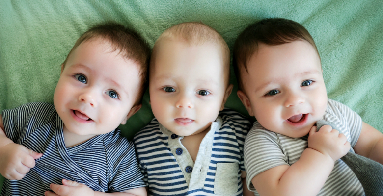 "namely"を使うか、それとも"such as" や "including"を使うか | エディテージ・インサイト